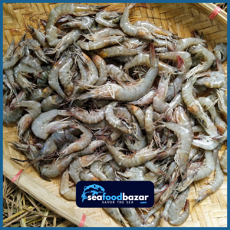 চিংড়ি | Shrimp (প্রতি কেজি ১২০-১৫০ পিস) – seafoodbazar