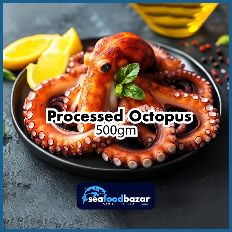 প্রসেসড অক্টোপাস | Processed Octopus – 500gm – seafoodbazar